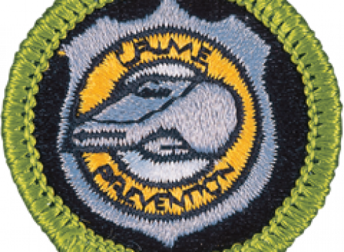 Merit Badges Virtual and In-Person Offerings - Piedmont California ...